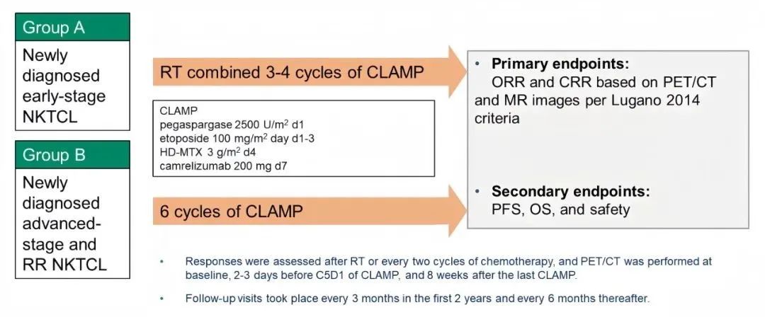 2024 ASCO口头报告｜恒瑞创新药卡瑞利珠单抗联合治疗NK/T细胞淋巴瘤研究结果公布医药新闻-ByDrug-一站式医药资源共享中心-医药魔方