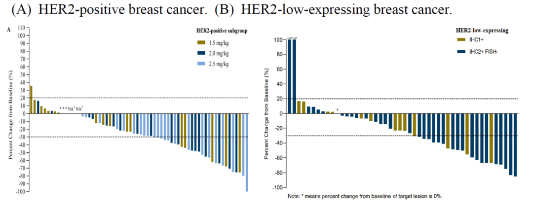 ASCO中国之声丨徐兵河教授团队：首个中美突破性疗法认定维迪西妥单抗(RC48)成功定义HER2低表达mBC，ORR达40%！医药新闻 ...
