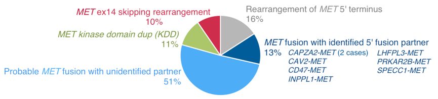 2018 WCLC 回顾 | 梁颖教授点评：在大样本量NSCLC患者中，采用全面基因组检测MET激酶区重排医药新闻-ByDrug-一站式医药资源共享中心-医药魔方