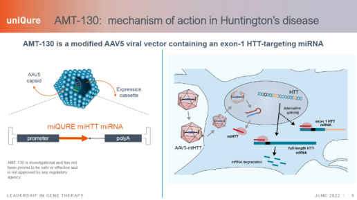 uniQure公布基因疗法AMT-130治疗亨廷顿病I/II期临床试验最新数据医药新闻-ByDrug-一站式医药资源共享中心-医药魔方