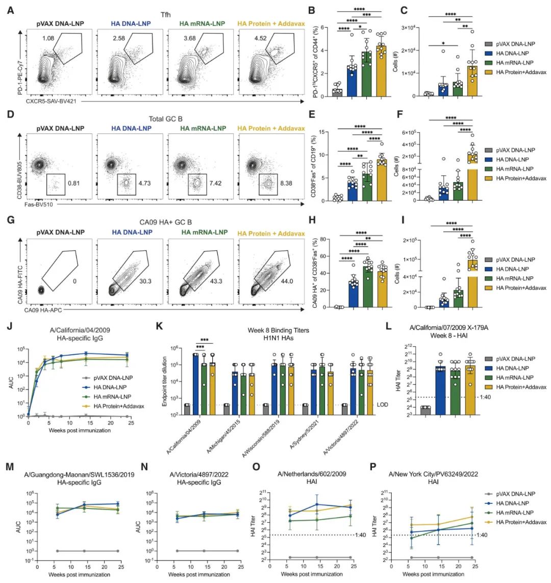 Cell Rep Med | DNA疫苗新突破！新型DNA-LNP递送技术实现长效免疫医药新闻-ByDrug-一站式医药资源共享中心-医药魔方