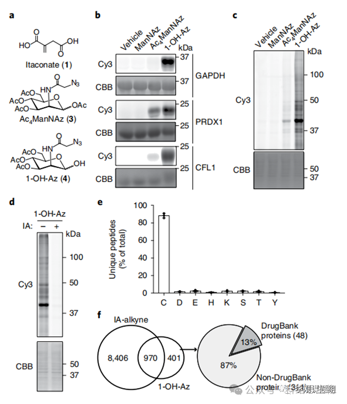 科”普专栏】| ABPP分析蛋白-代谢物相互作用网络---揭示衣康酸抗炎新机制医药新闻-ByDrug-一站式医药资源共享中心-医药魔方