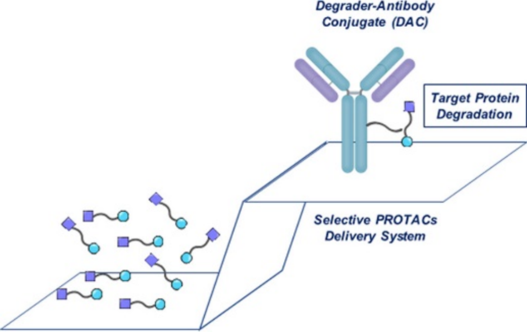 降解剂-抗体偶联物：概念通往实体的路途仍风险重重医药新闻-ByDrug-一站式医药资源共享中心-医药魔方
