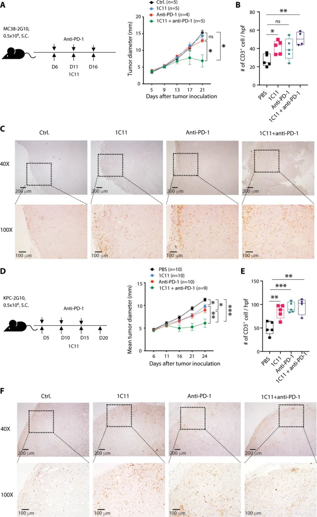 陈列平最新成果：癌症免疫治疗新靶点——PLA2G10医药新闻-ByDrug-一站式医药资源共享中心-医药魔方