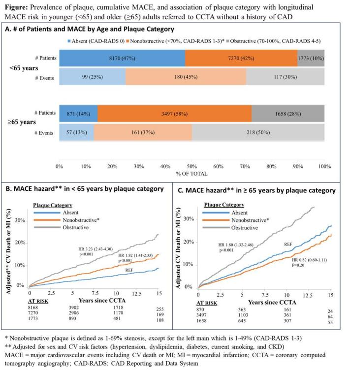ACC热评丨宋雷教授：冠心病患者CCTA特点因年龄而异，定性及定量CCTA将有利于对老年患者进行危险分层及预后评估医药新闻-ByDrug-一站 ...