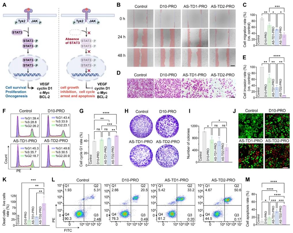 “四面体”PROTAC：大显身手医药新闻-ByDrug-一站式医药资源共享中心-医药魔方