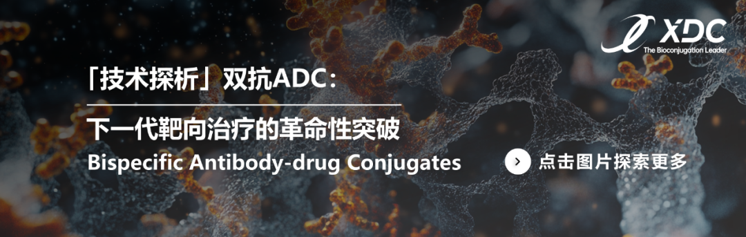 Nature：癌症免疫治疗新靶点——NNMT医药新闻-ByDrug-一站式医药资源共享中心-医药魔方