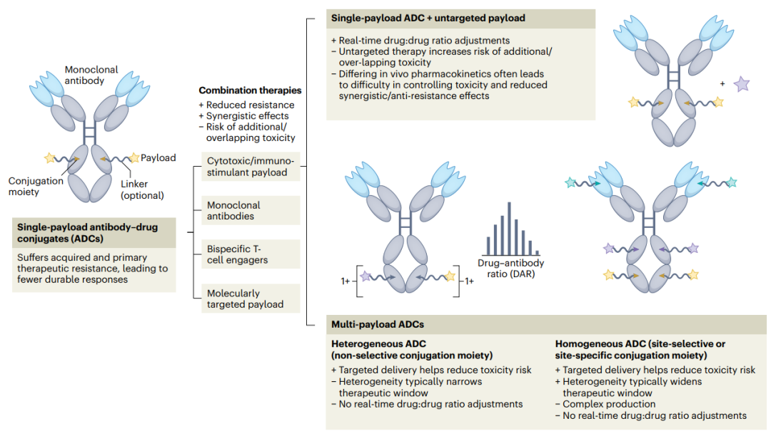 Journal Club | 爆火的双抗/双载荷ADC药物，如何实现1+1>2？医药新闻-ByDrug-一站式医药资源共享中心-医药魔方