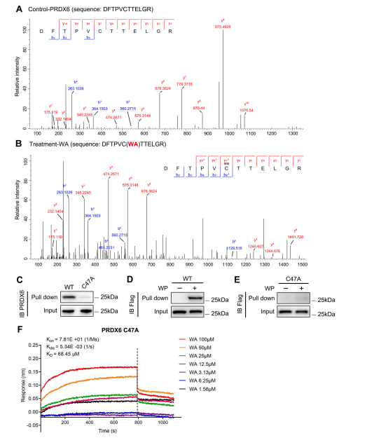 化学蛋白质组学技术（ABPP）在肺癌研究中的应用医药新闻-ByDrug-一站式医药资源共享中心-医药魔方
