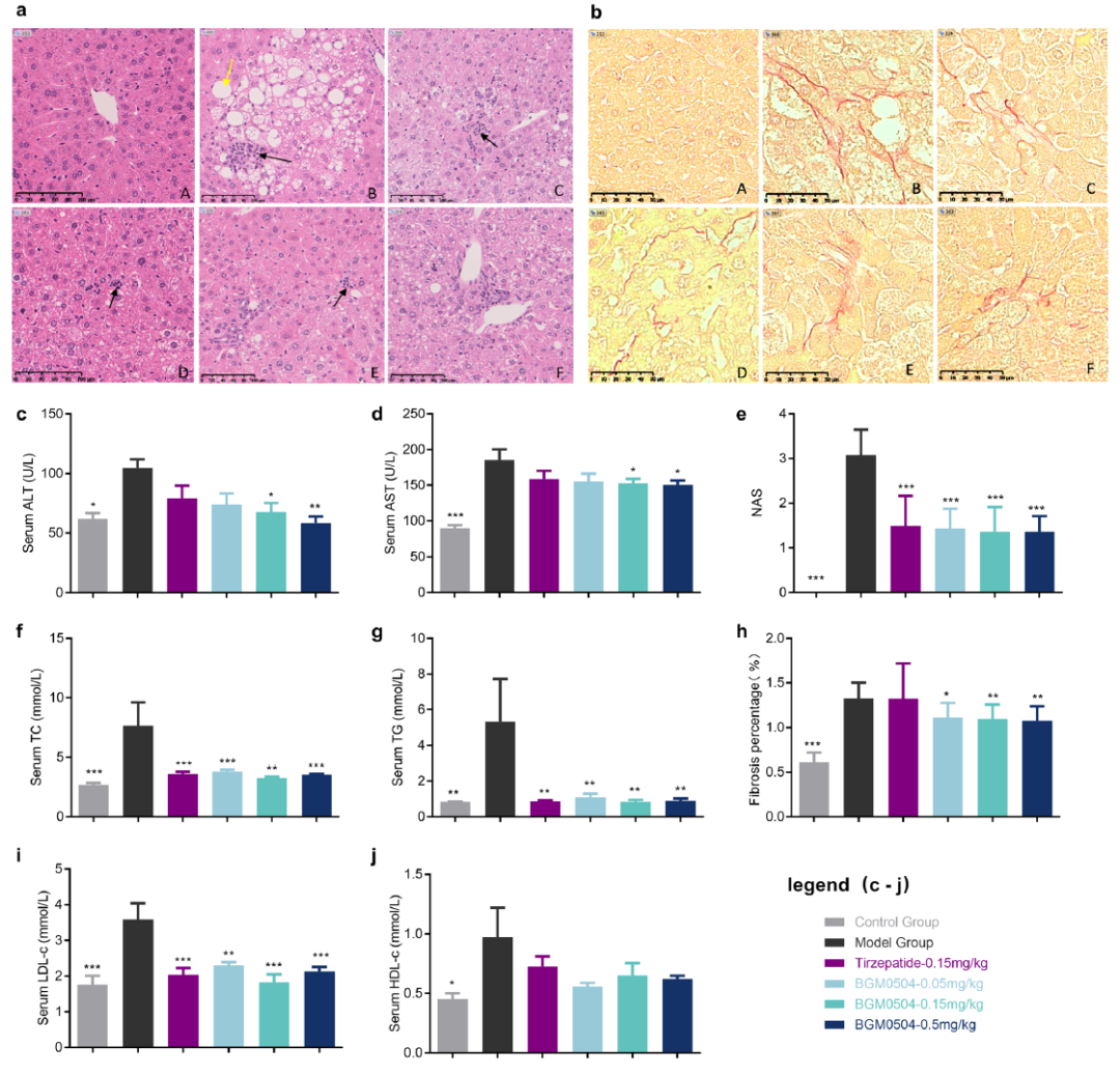 博瑞医药Nature子刊发表GLP-1R/GIPR激动剂临床前结果：活性高于替尔泊肽，小鼠模型显示优效医药新闻-ByDrug-一站式医药资源共享中心-医药魔方