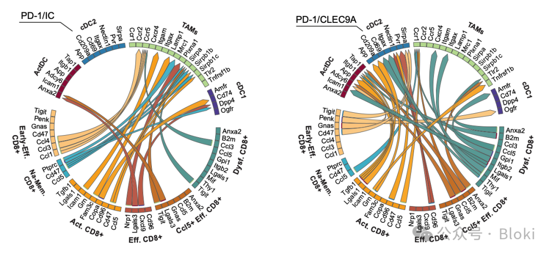 把DC细胞和T细胞拉到一起的双特异性抗体医药新闻-ByDrug-一站式医药资源共享中心-医药魔方