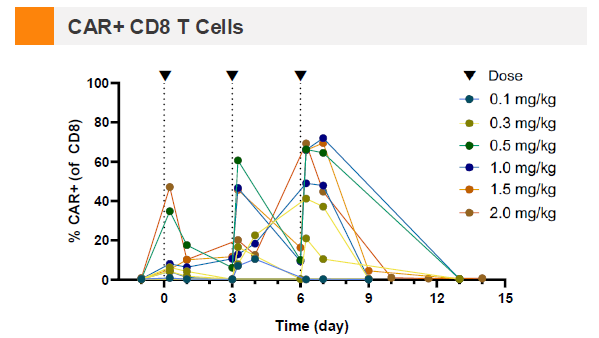 未来已来！Capstan首次公布基于抗体偶联LNP的In vivo CAR-T NHP数据医药新闻-ByDrug-一站式医药资源共享中心-医药魔方