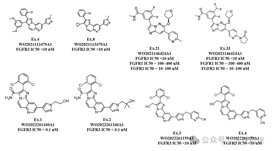 选择性FGFR3抑制剂：冲击下一个蓝海市场医药新闻-ByDrug-一站式医药资源共享中心-医药魔方