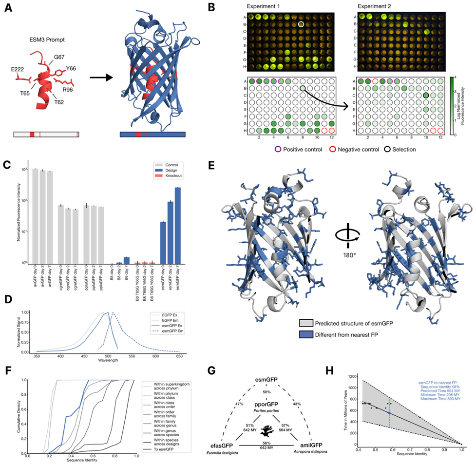 980亿参数的力量：ESM3模型如何改变蛋白质研究医药新闻-ByDrug-一站式医药资源共享中心-医药魔方
