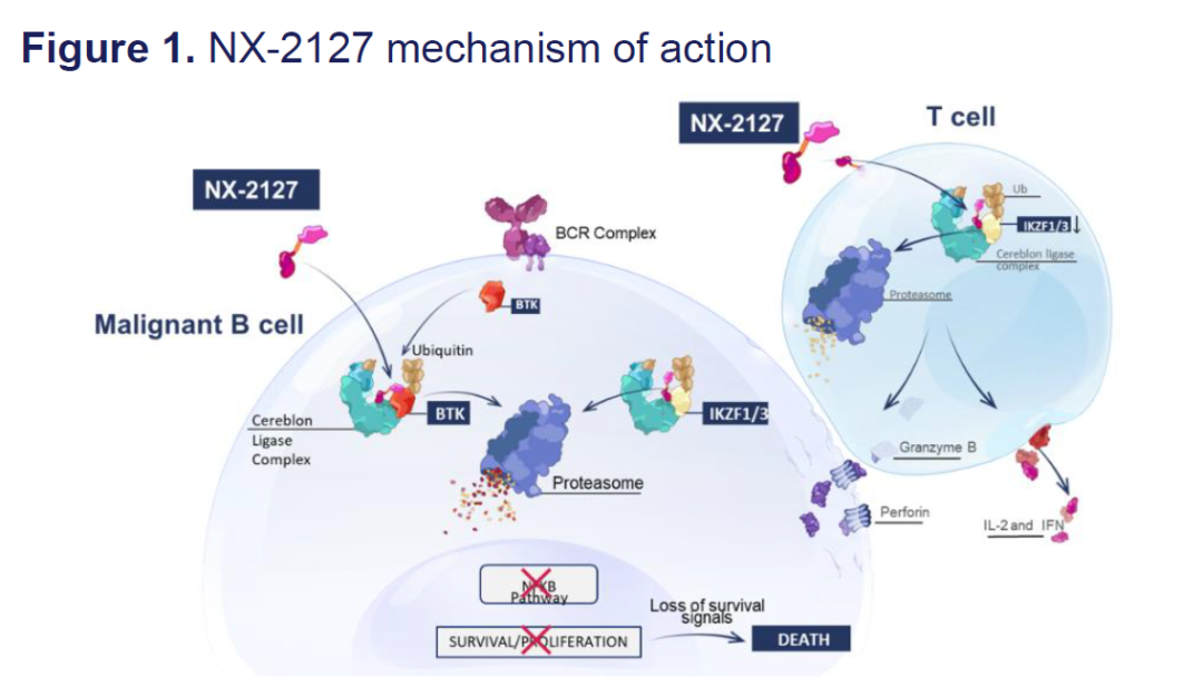 Science：一篇关于BTK PROTAC的最新论文医药新闻-ByDrug-一站式医药资源共享中心-医药魔方