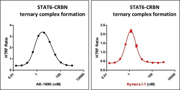 PROTAC非肿瘤领域突破：以Kymera专利分子为例的STAT6降解剂体外评价体系指南医药新闻-ByDrug-一站式医药资源共享中心-医药魔方