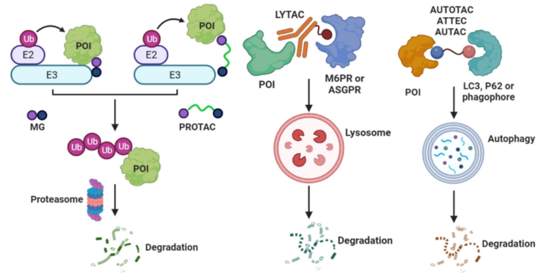 突破难成药靶点，PROTAC、基因治疗、AI制药 and Beyond医药新闻-ByDrug-一站式医药资源共享中心-医药魔方