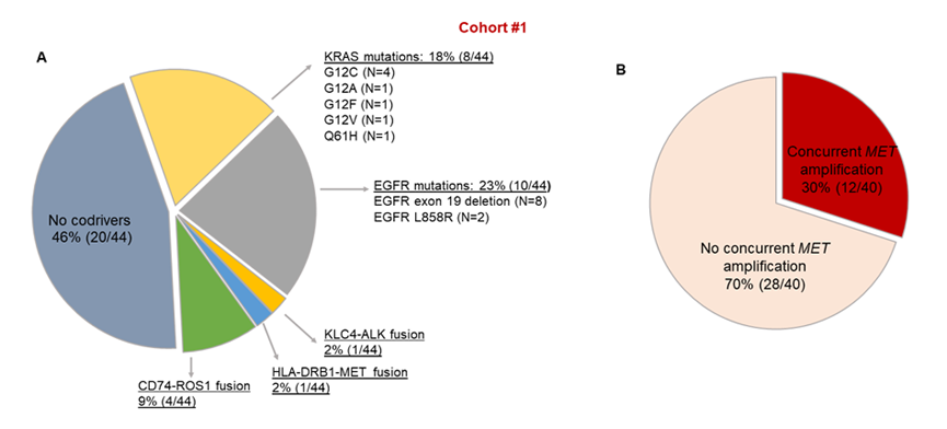 非小细胞肺癌中MET点突变医药新闻-ByDrug-一站式医药资源共享中心-医药魔方