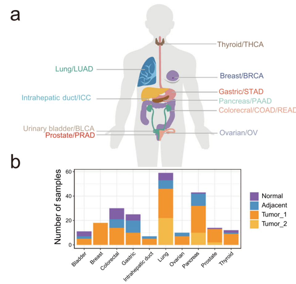 探索细胞宇宙：Bulk RNA-seq和scRNA-seq的联合探险医药新闻-ByDrug-一站式医药资源共享中心-医药魔方