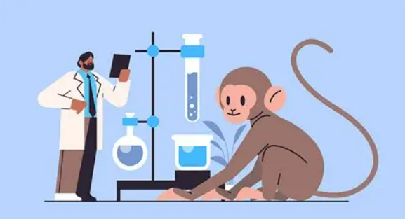 IPHASE猴肝S9助力药物代谢研究医药新闻-ByDrug-一站式医药资源共享中心-医药魔方