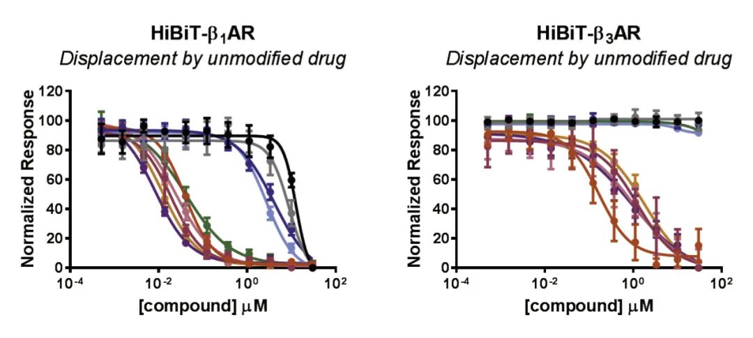 技术 | 利用HiBiT标签与NanoBRET™ TE技术研究GPCRs与配基结合医药新闻-ByDrug-一站式医药资源共享中心-医药魔方