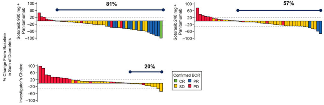 【爱肠学院】CodeBreaK 300研究：Sotorasib+帕尼单抗在化疗难治性KRAS G12C突变型转移性结直肠癌的探索医药新闻 ...