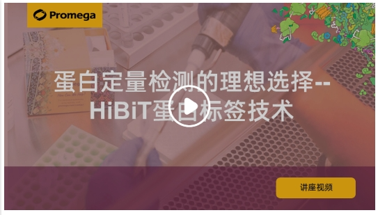 技术 | 使用HiBiT发光多肽标签监测内源水平的蛋白动力学医药新闻-ByDrug-一站式医药资源共享中心-医药魔方