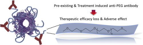 聚乙二醇PEG，药物修饰的“利器”医药新闻-ByDrug-一站式医药资源共享中心-医药魔方