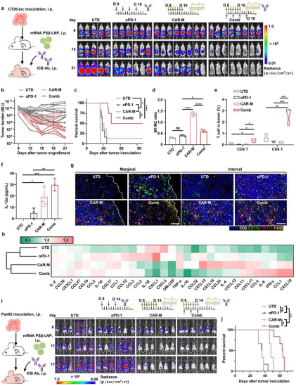 谭蔚泓院士团队开发基于mRNA-LNP的腹膜内原位CAR-M疗法，联合ICB疗法协同治疗腹膜扩散型晚期实体瘤医药新闻-ByDrug-一站式医药资源共享中心-医药魔方