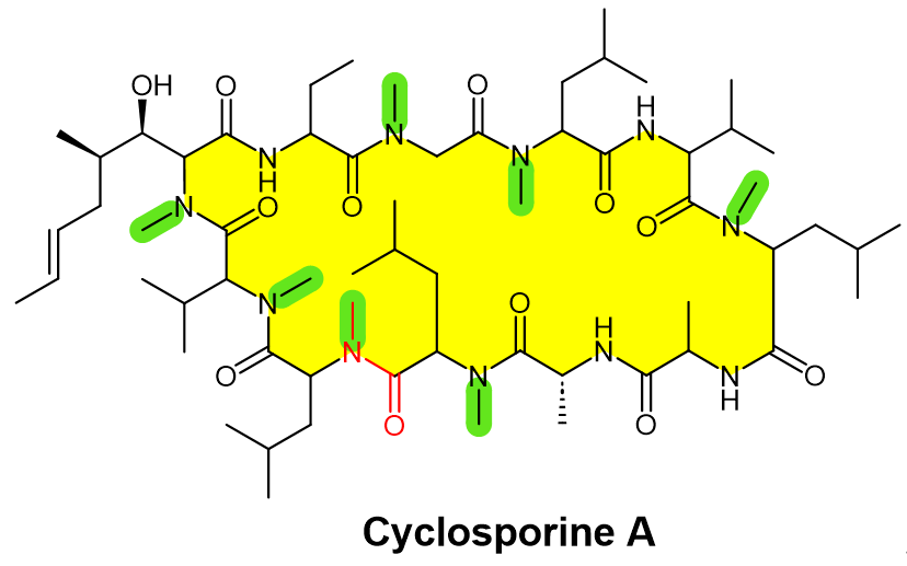 行业研究 | 首次结构披露，环肽候选药跻身PD-(L)1赛道医药新闻-ByDrug-一站式医药资源共享中心-医药魔方