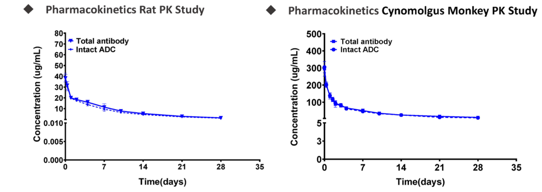 2024 AACR｜恒瑞医药一种新型DLL3-ADC药物HRA00130-C004研究数据亮相医药新闻-ByDrug-一站式医药资源共享中心-医药魔方