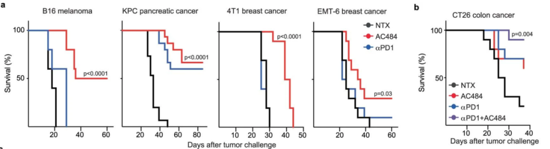 突破PD-1局限：8大新兴肿瘤免疫治疗靶点医药新闻-ByDrug-一站式医药资源共享中心-医药魔方