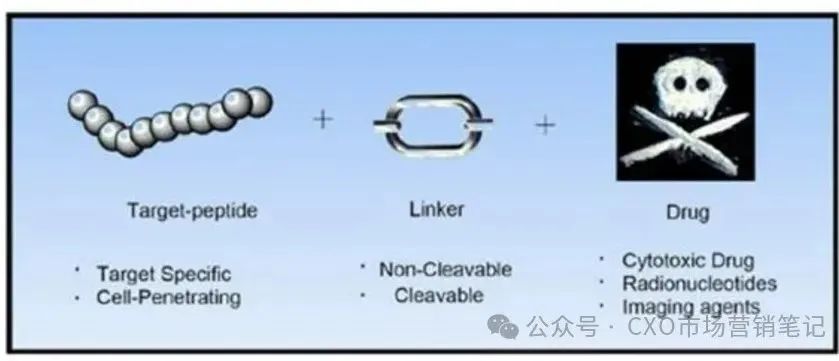 最全！15种XDC药物全类型梳理及发展趋势预测医药新闻-ByDrug-一站式医药资源共享中心-医药魔方