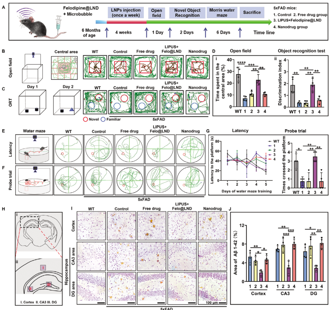项目文章Adv Sci (IF14.3) | 脂质体纳米药物Felodipine@LND可改善AD医药新闻-ByDrug-一站式医药资源共享中心-医药魔方