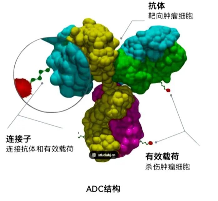 探索治疗新路径，助力攻克骨肉瘤——HS-20093最新三期临床研究落地我院医药新闻-ByDrug-一站式医药资源共享中心-医药魔方