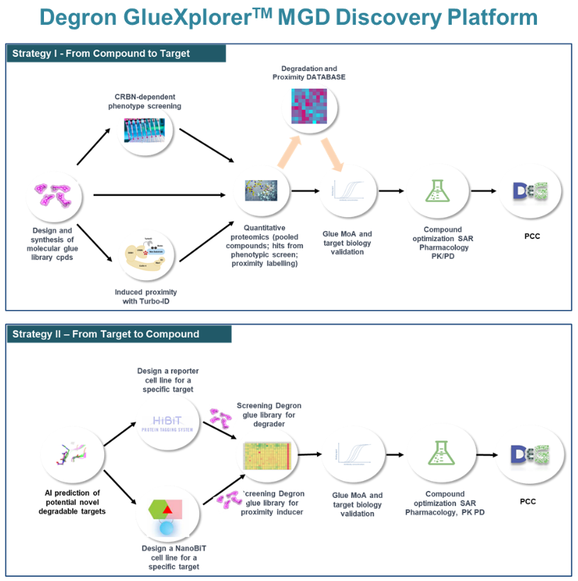 分子胶迈向“合理设计”时代医药新闻-ByDrug-一站式医药资源共享中心-医药魔方