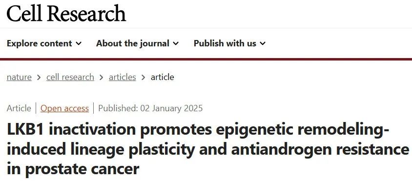 Cell Research 项目文章丨LKB1失活可促进前列腺癌表观遗传重塑诱导的谱系可塑性和抗雄激素耐药性医药新闻-ByDrug-一站式医药资源共享中心-医药魔方