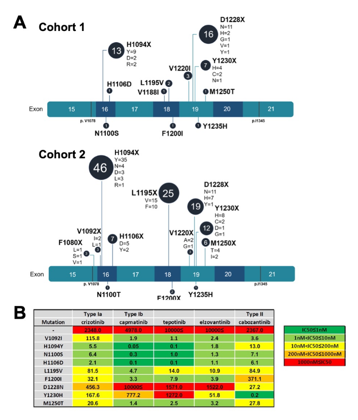 【2023 WCLC】口头报告专场：“新型靶点”重磅进展抢先看！医药新闻-ByDrug-一站式医药资源共享中心-医药魔方