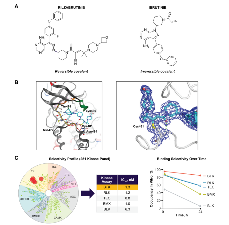 新药前沿｜FDA批准首个治疗免疫性血小板减少症的BTK抑制剂医药新闻-ByDrug-一站式医药资源共享中心-医药魔方