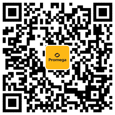 新品 | HiBiT活细胞靶向蛋白降解高效新利器！LgBiT mRNA递送系统医药新闻-ByDrug-一站式医药资源共享中心-医药魔方