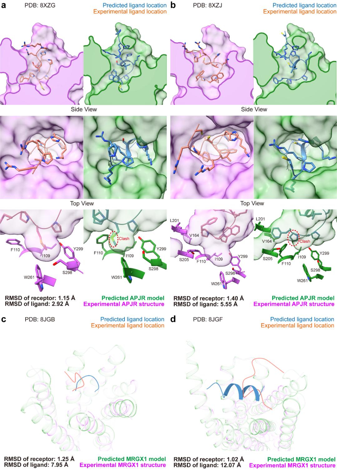 APS | AlphaFold3预测GPCR-配体复合物的局限性评测：实验结构仍是关键医药新闻-ByDrug-一站式医药资源共享中心-医药魔方