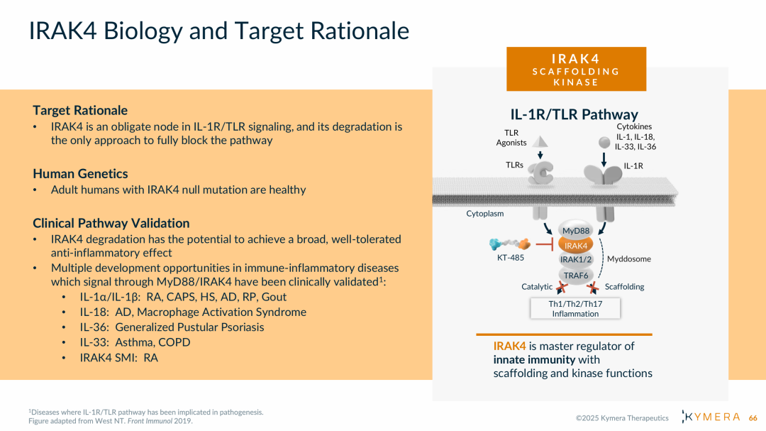 17.25亿美元！Kymera官宣两项蛋白降解剂合作医药新闻-ByDrug-一站式医药资源共享中心-医药魔方