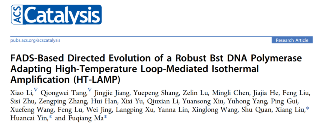ACS Catalysis：酶定向进化突破！中国团队改造耐热Bst DNA聚合酶，推动LAMP技术升级医药新闻-ByDrug-一站式医药资源共享中心-医药魔方