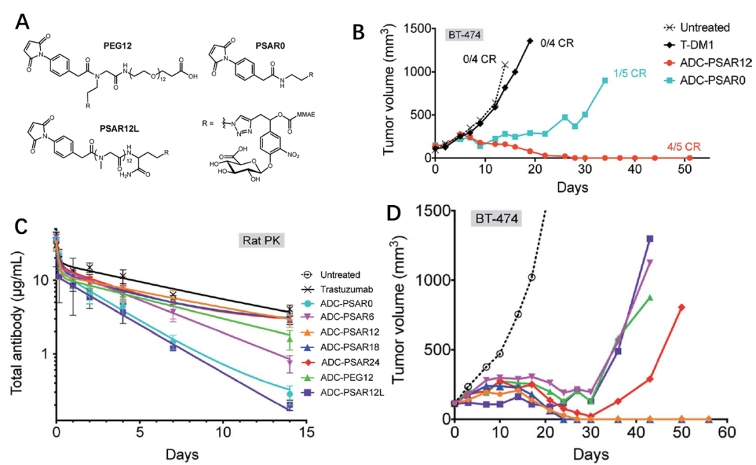 Beyond PEGylation：聚肌氨酸(PSAR)在ADC领域的应用医药新闻-ByDrug-一站式医药资源共享中心-医药魔方