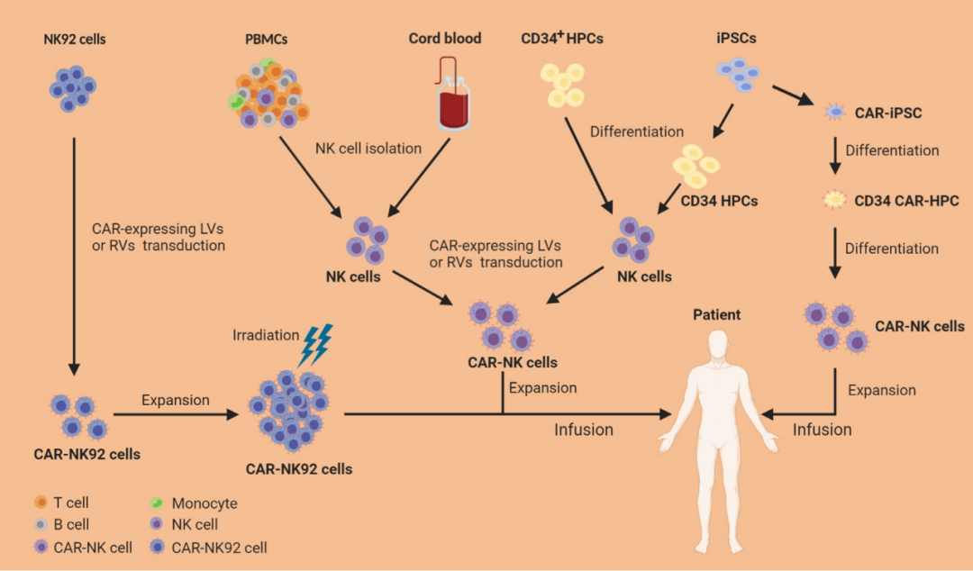 NK细胞系列（二）：NK细胞的来源医药新闻-ByDrug-一站式医药资源共享中心-医药魔方