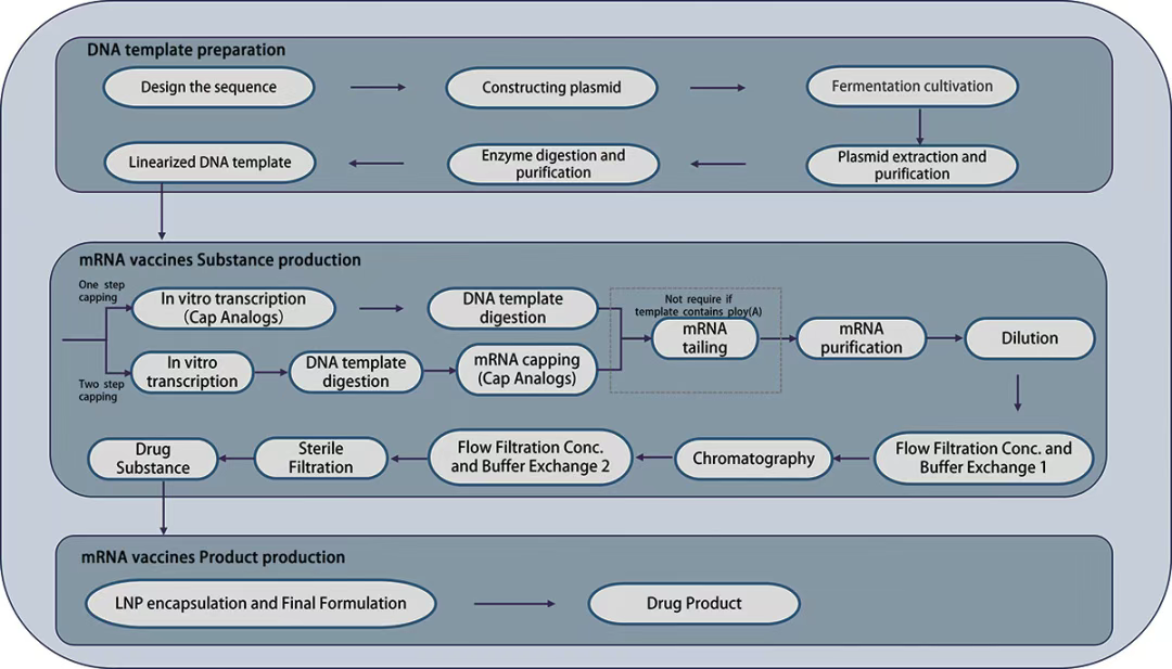 NMPA最新发文：mRNA疫苗质量控制研究进展医药新闻-ByDrug-一站式医药资源共享中心-医药魔方