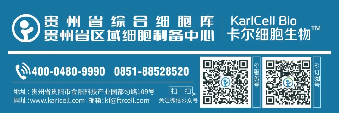 11年随访3625人研究发现，回输NK细胞的重要性医药新闻-ByDrug-一站式医药资源共享中心-医药魔方