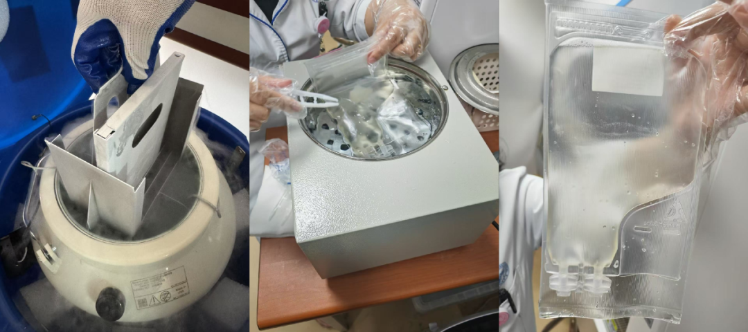 上海市胸科医院全球首次应用GPC3靶向CAR-T疗法治疗鳞状细胞肺癌完成首例患者给药医药新闻-ByDrug-一站式医药资源共享中心-医药魔方