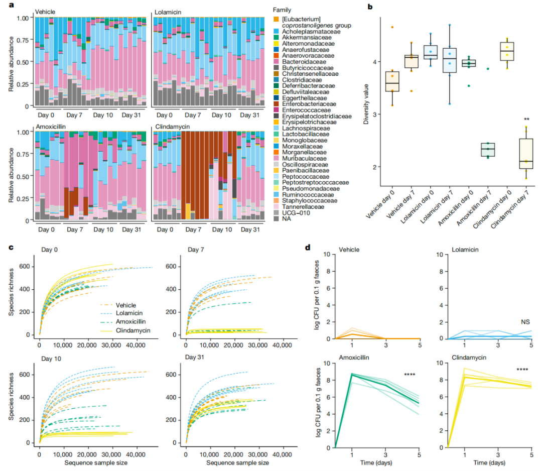 Nature重磅：更智能的抗生素！高效对抗耐药菌，而不伤害肠道菌群医药新闻-ByDrug-一站式医药资源共享中心-医药魔方