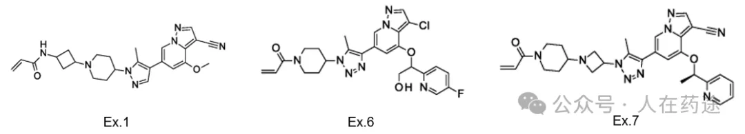 选择性FGFR3抑制剂：冲击下一个蓝海市场医药新闻-ByDrug-一站式医药资源共享中心-医药魔方